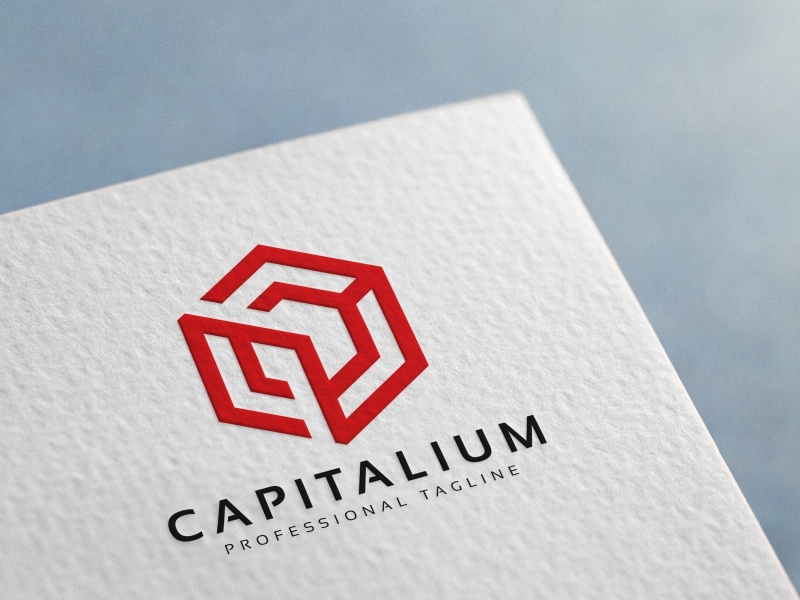 Capital Cube Logo by iRussu on Dribbble