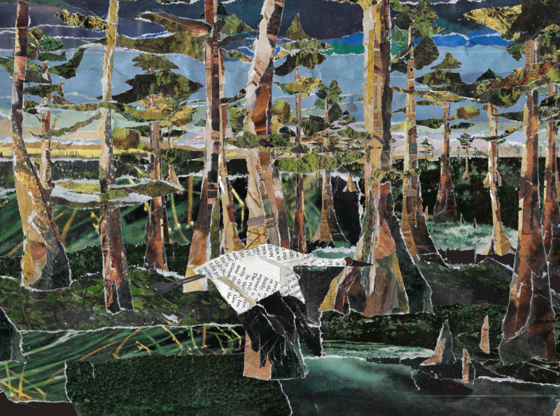 Whooping Crane Animation Still (2) by Karson Schenk on Dribbble