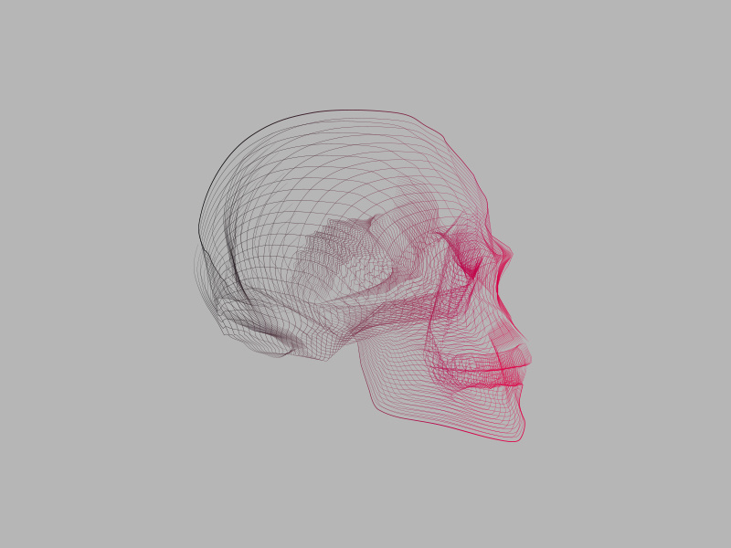 Skull Design by Chad Andrews on Dribbble