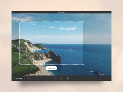Image Editor by Emiliano Cicero on Dribbble