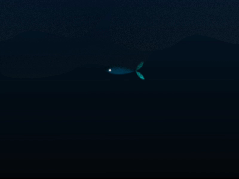 Fish Motion Practice_Day038 by Shenxun Wang on Dribbble