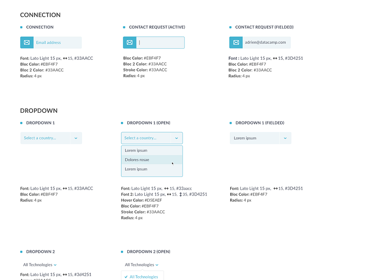 Style Guide by Adrien Duchateau for DataCamp on Dribbble