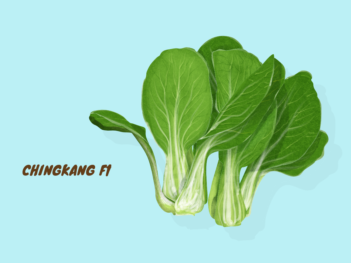 Chingkang F1 by Bob Sagun on Dribbble