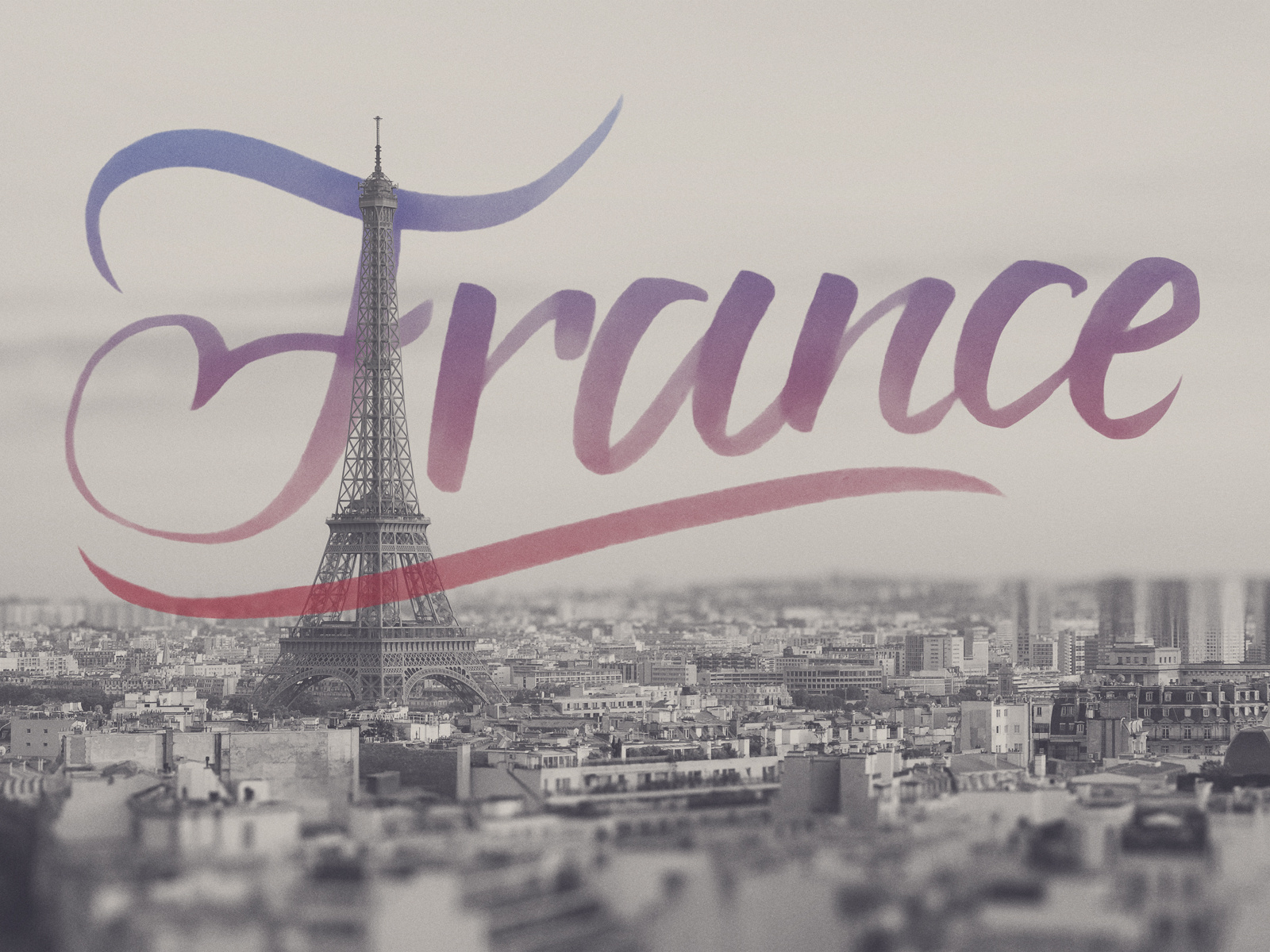 France by Evel Nogueira on Dribbble