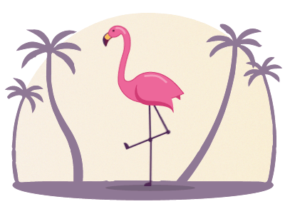 Flamingo by Romain Maeckelberg on Dribbble