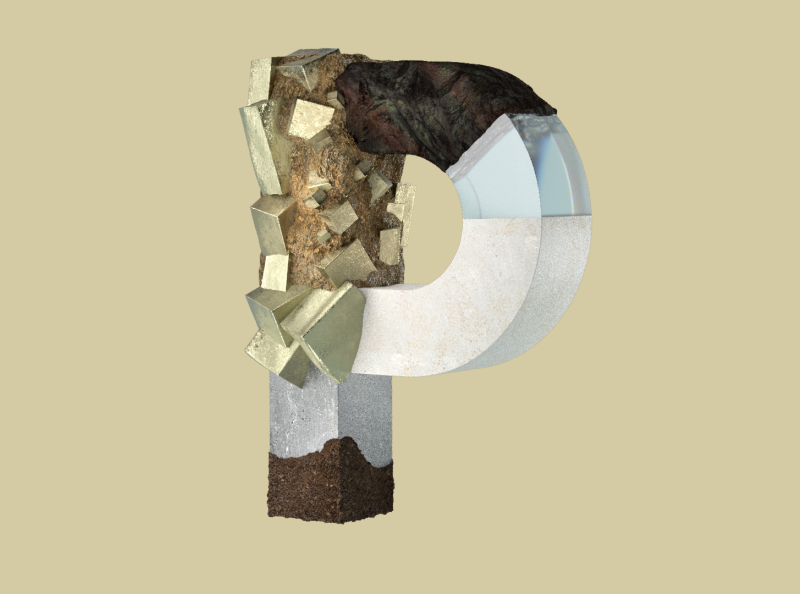 Pretty letter P by Anastacia Bleykher on Dribbble