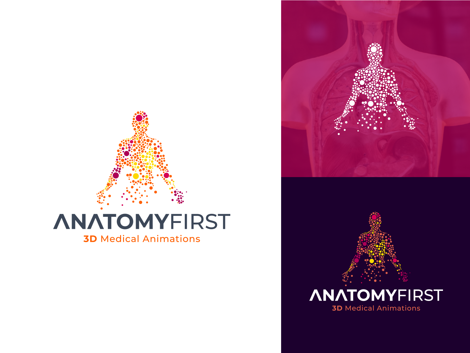 Anatomy First by FullStop on Dribbble