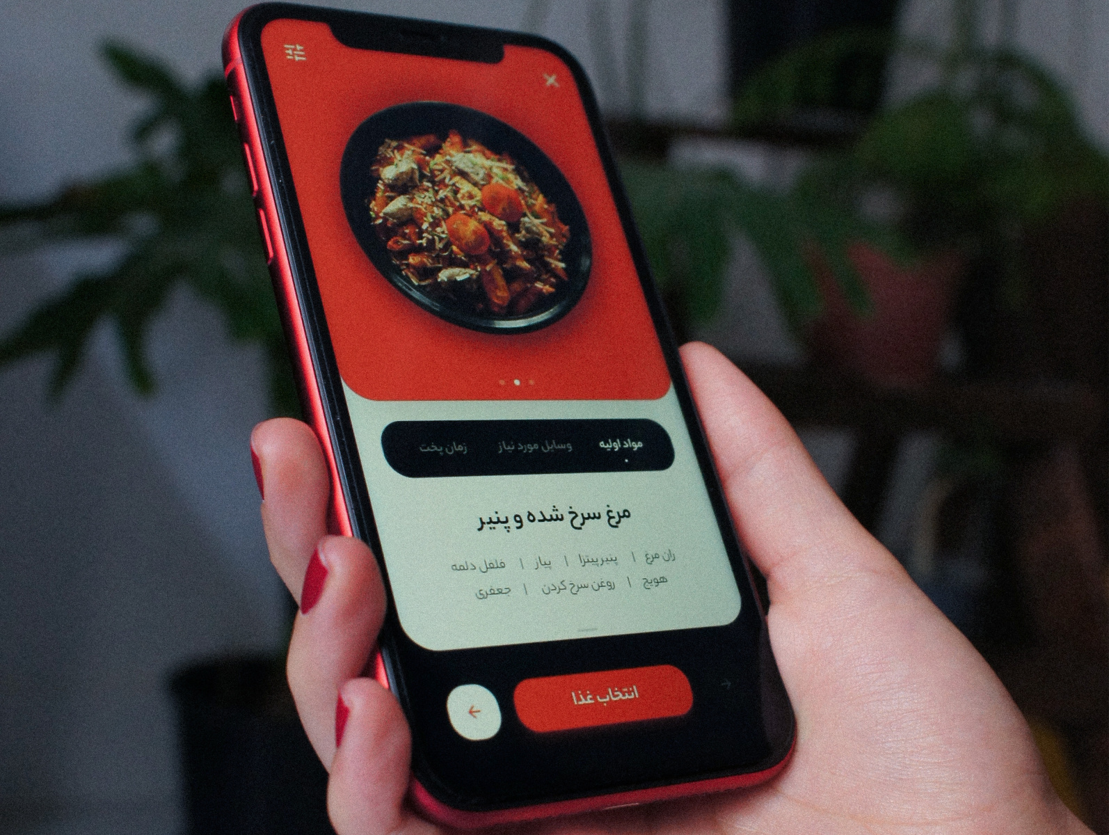 Cooking assistant app UI (Damkoni) by MO RASHIDI on Dribbble