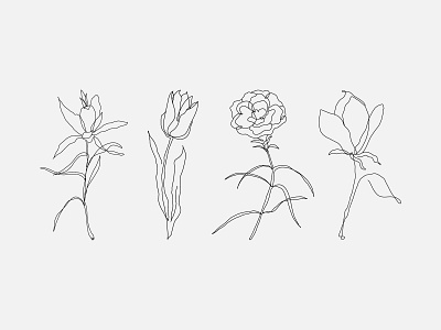 Flower Line Art | Patterns, Backgrounds & Elements by rawpixel.com for ...