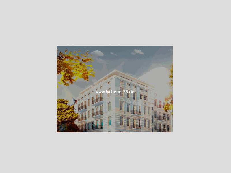 Image Caption Hover Effect By Michaela Lehr On Dribbble