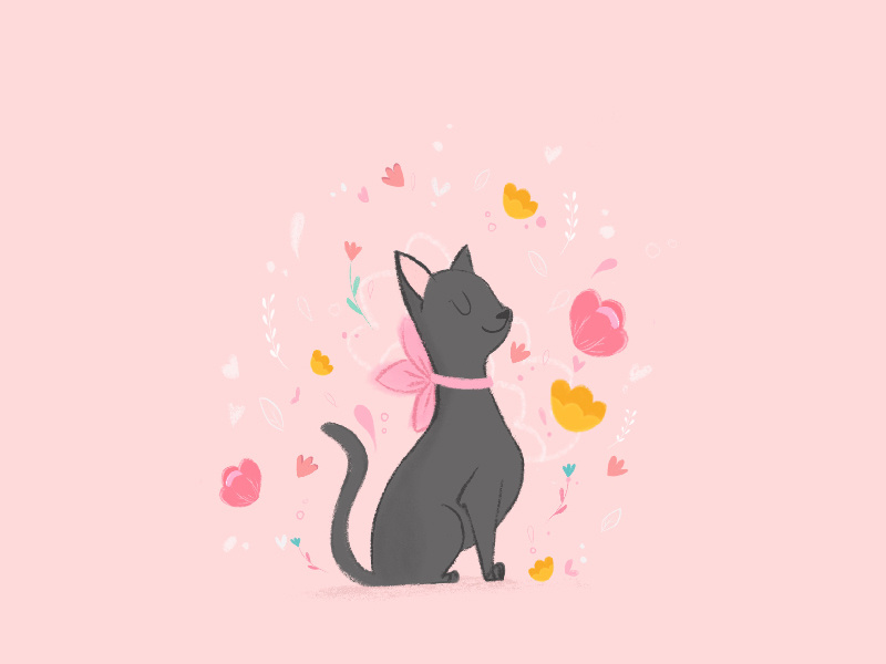 Cat. by Mary Grillet on Dribbble