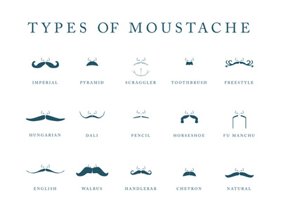 Types of Moustache by chyworks on Dribbble