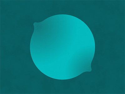 Citrus Slice by Casey Lim on Dribbble