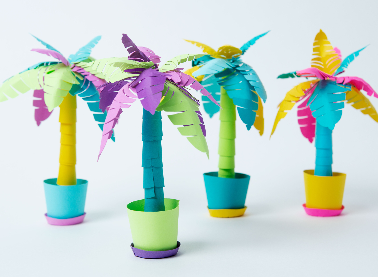 Festive Palm Tree P.L.A.Y! Kits by Alicja Colon on Dribbble