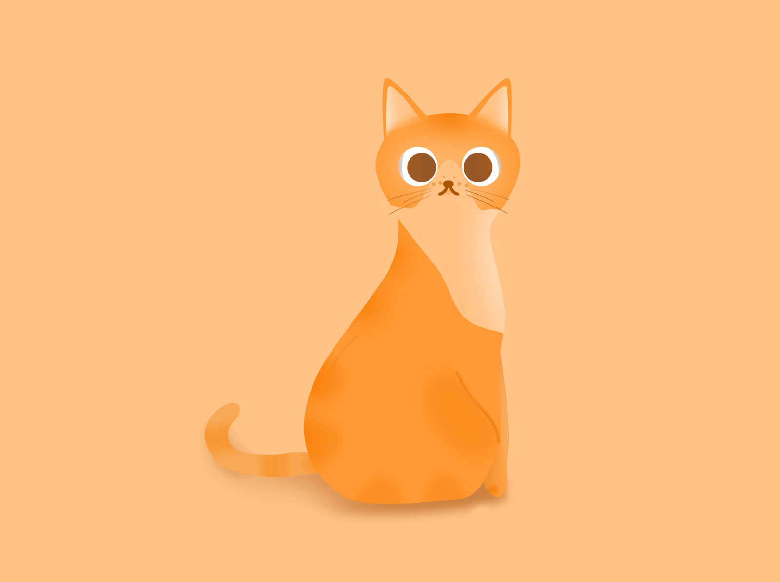 Orange Cat by Ahmad Almadhoun on Dribbble
