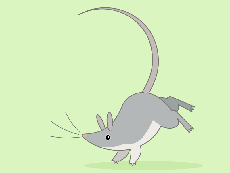 Mouse by Violet Kirk on Dribbble