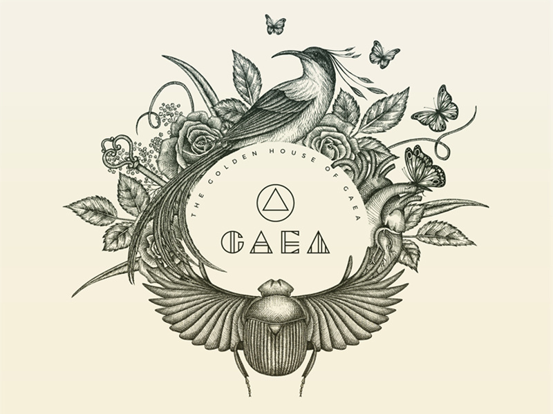 WIP - design for Fire Collection of GAEA by Yokaona on Dribbble