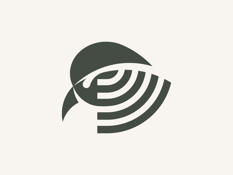 The Red Golden Pheasant by Winston Tabar on Dribbble