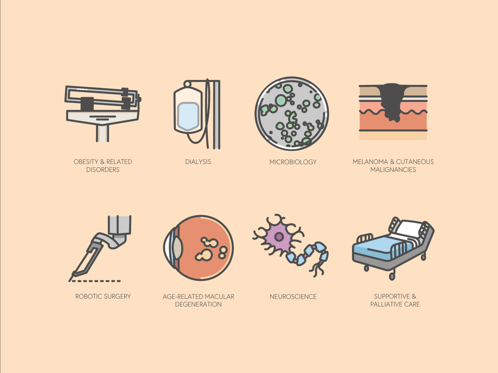 Misc medical subspecialties icons by Lauren X Lee on Dribbble