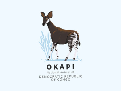 Okapi illustration by Carla Adol on Dribbble