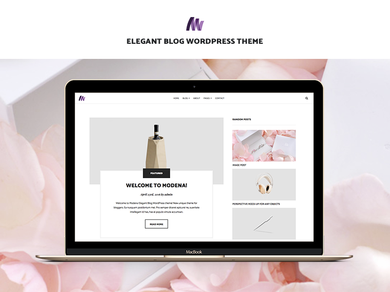 Modena WordPress Theme by Alexander Rizhikoff on Dribbble