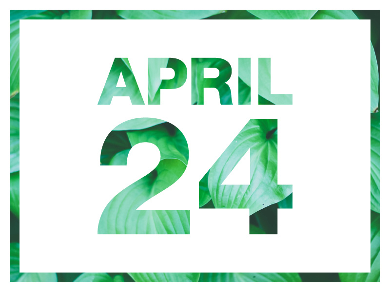 April 24 by Kite on Dribbble