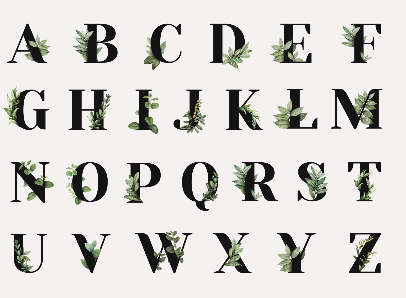 Alphabet Letter Typeface Set | Botanical Style by rawpixel on Dribbble