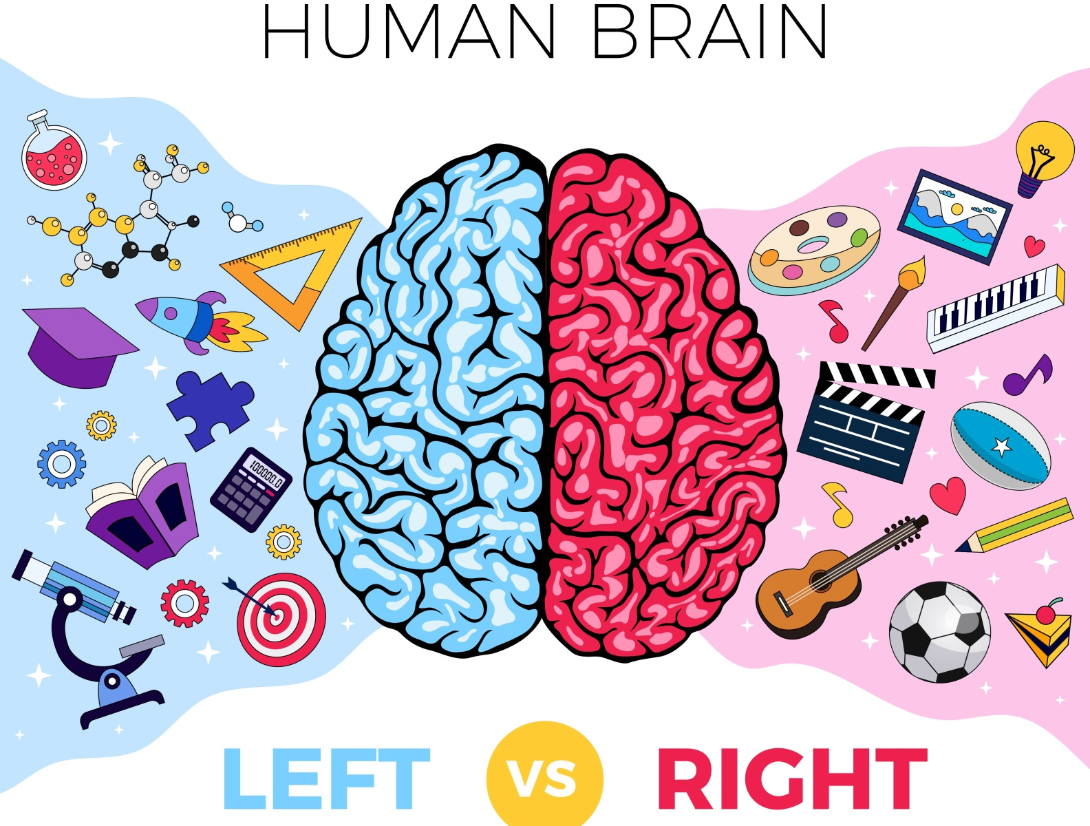 Human Brain Functions By Macrovector On Dribbble