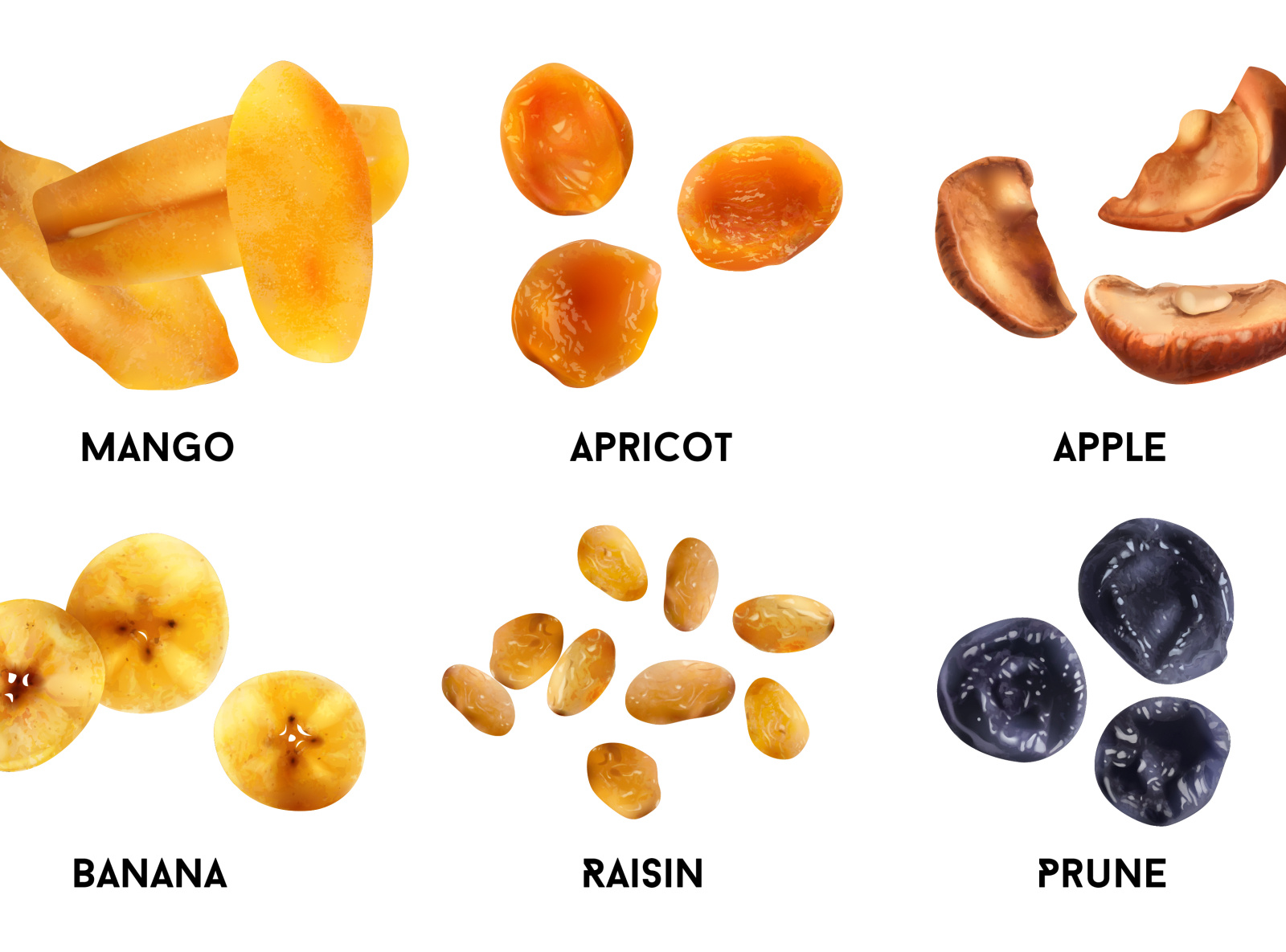 Dry fruits set by Macrovector on Dribbble