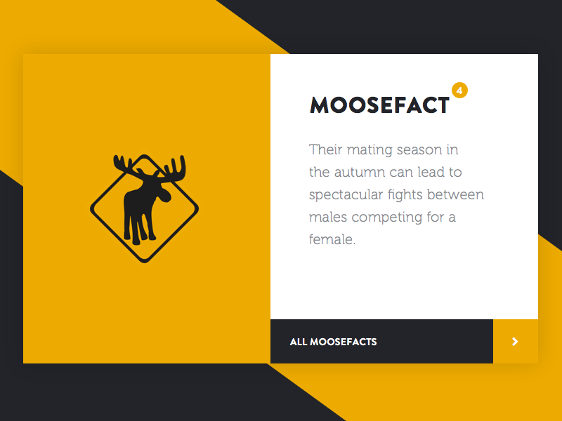 Roadworks MooseFacts by Justin van Oel on Dribbble