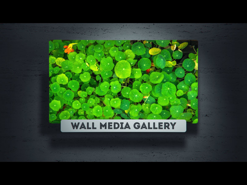 Wall Media Gallery by dorusoftware on Dribbble