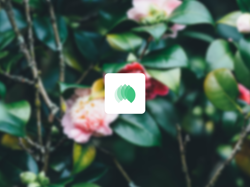 Biodiversity App - Daily UI #005 by Nathan Diet on Dribbble