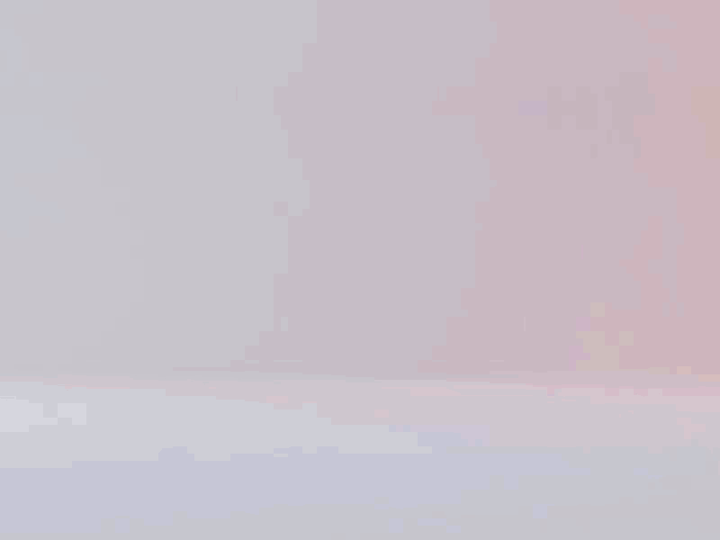 Lithop by Paulina Echegaray on Dribbble