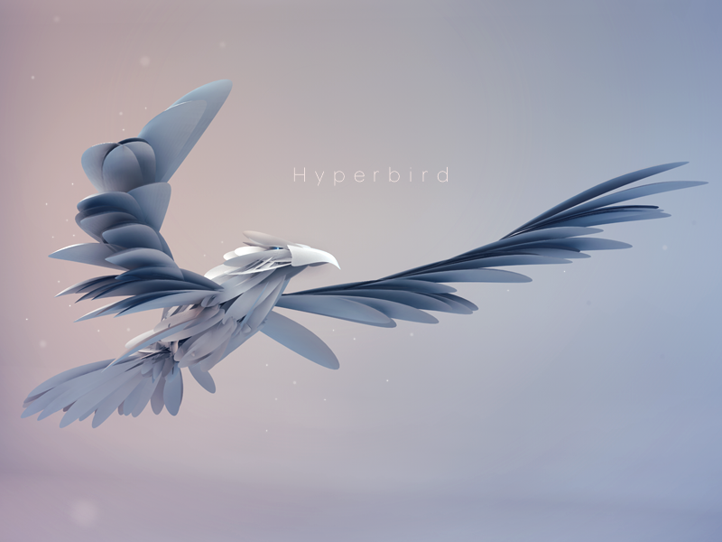 Hyperbird by Lars Lundberg on Dribbble