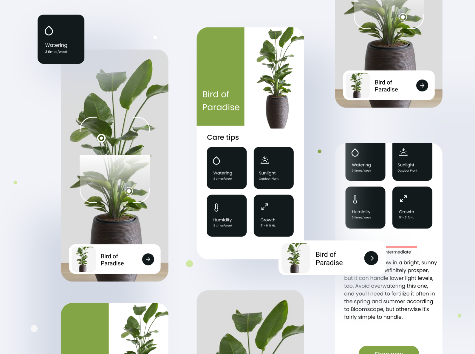 Plant Scan App UI by Ashish Sharma on Dribbble