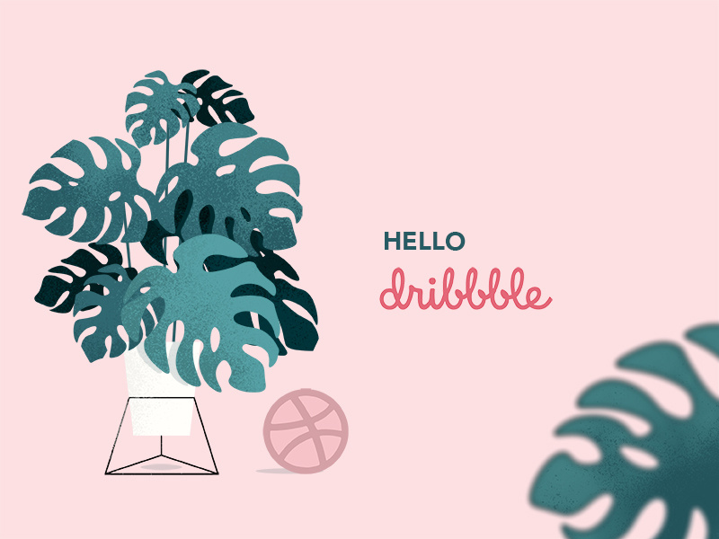 Hello Dribble by Julia Solonina on Dribbble