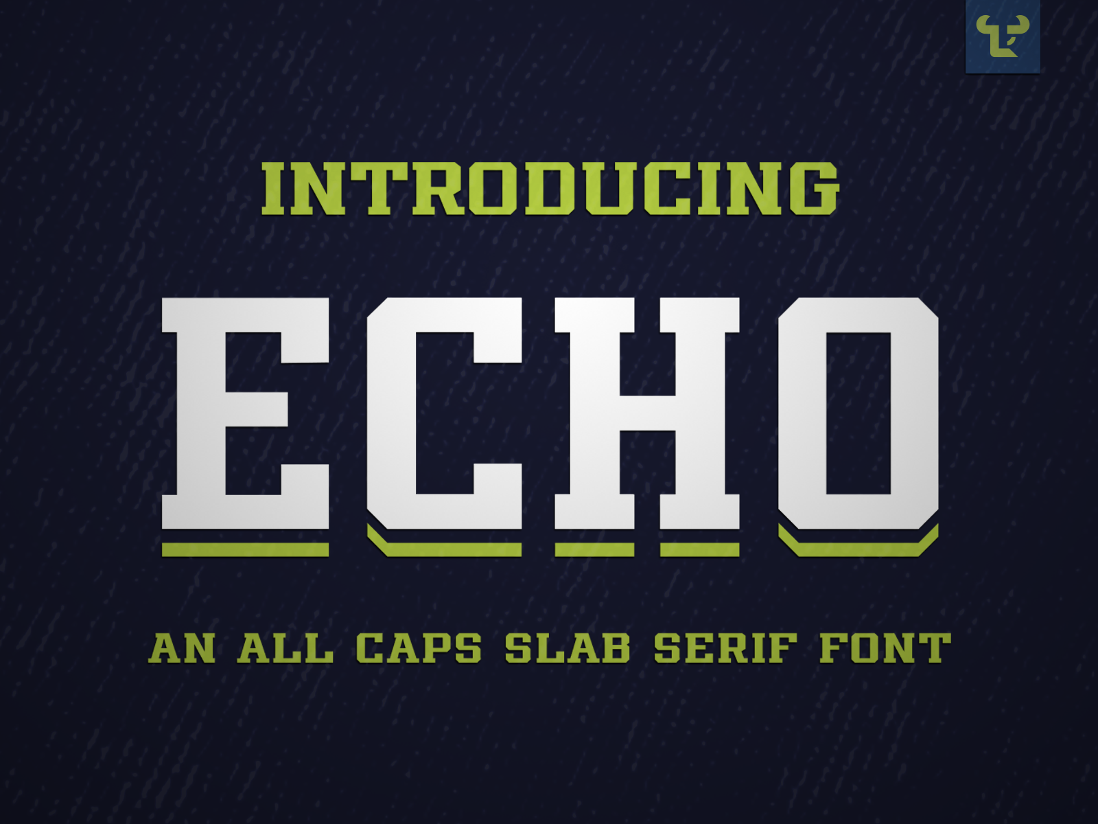 Echo Font by Lia Tanasa on Dribbble