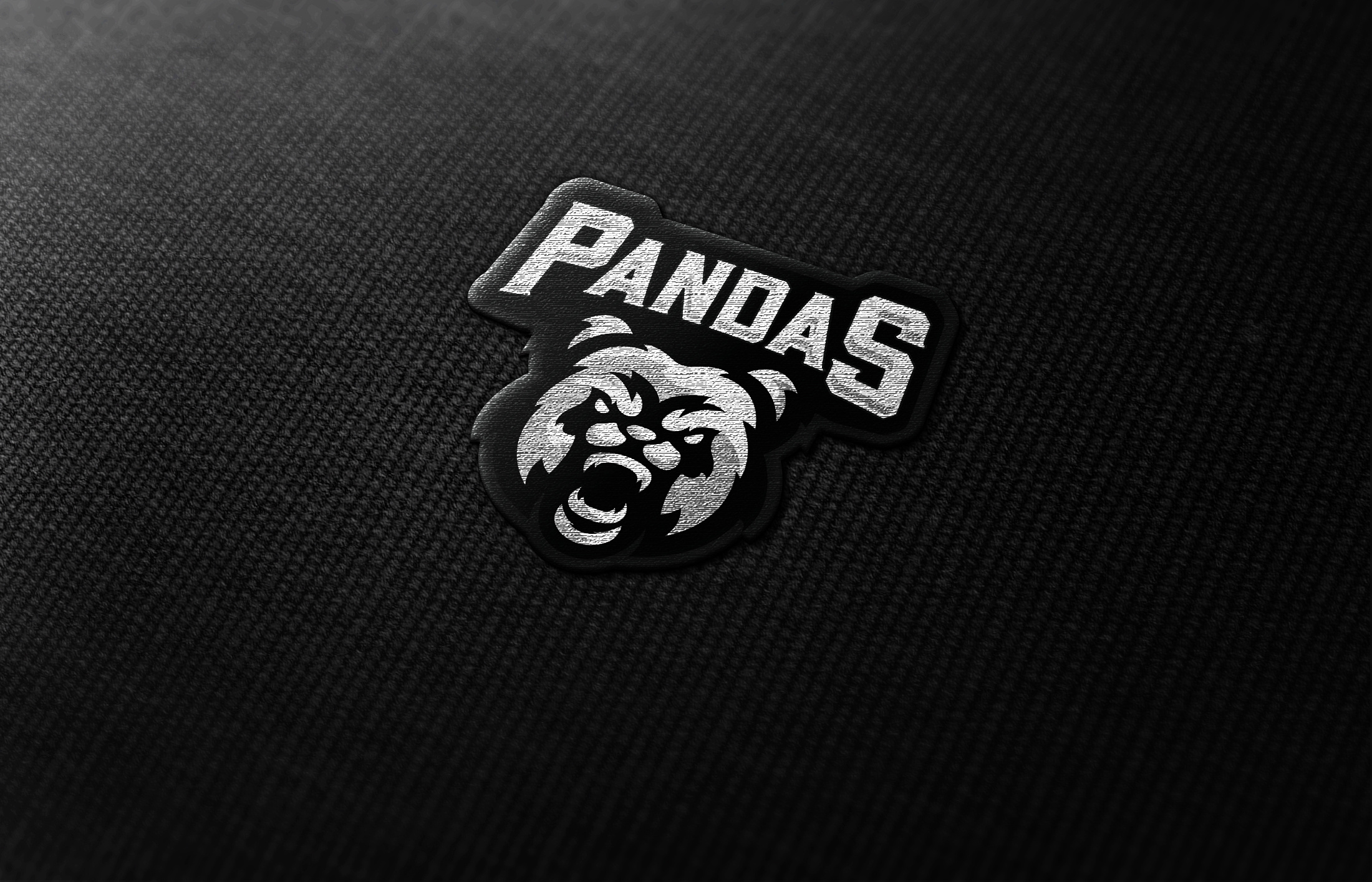 pandas-by-lia-tanasa-on-dribbble