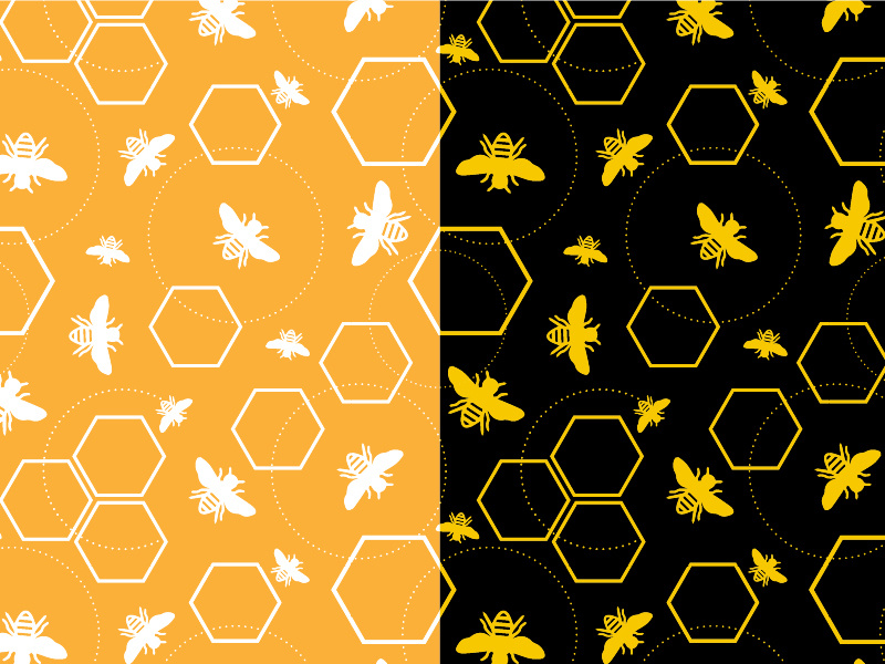 Bumblebee By Christie Best On Dribbble