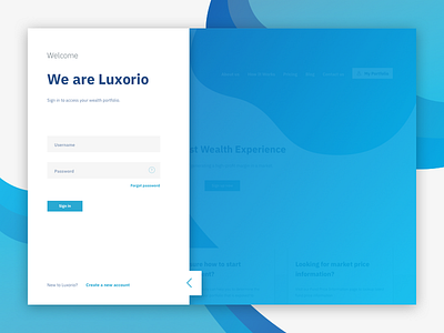 "Luxorio" A wealth portfolio management by TA. on Dribbble