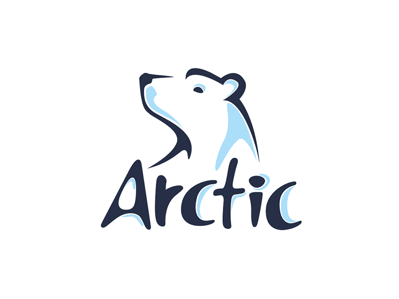 Arctic by Julien Tilly on Dribbble