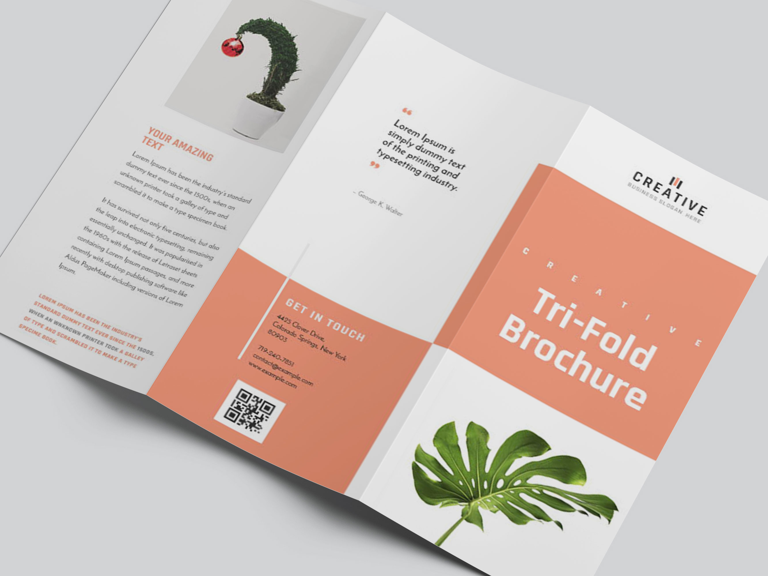 Tri Fold Brochure Design Inspiration