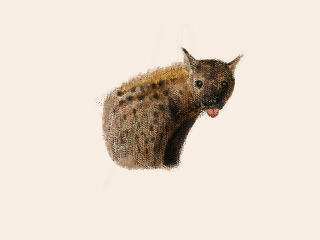 Hyena designs, themes, templates and downloadable graphic elements on ...