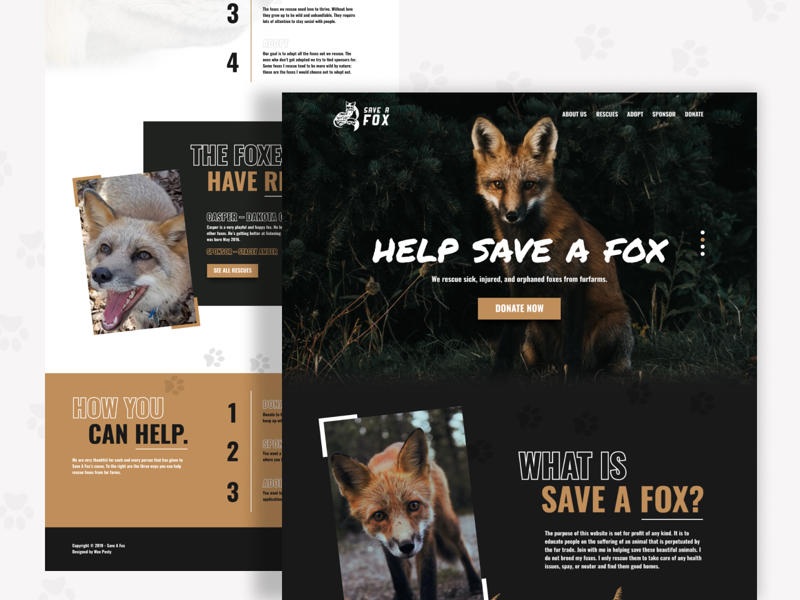 Save A Fox Web Design by Stephanie Post on Dribbble