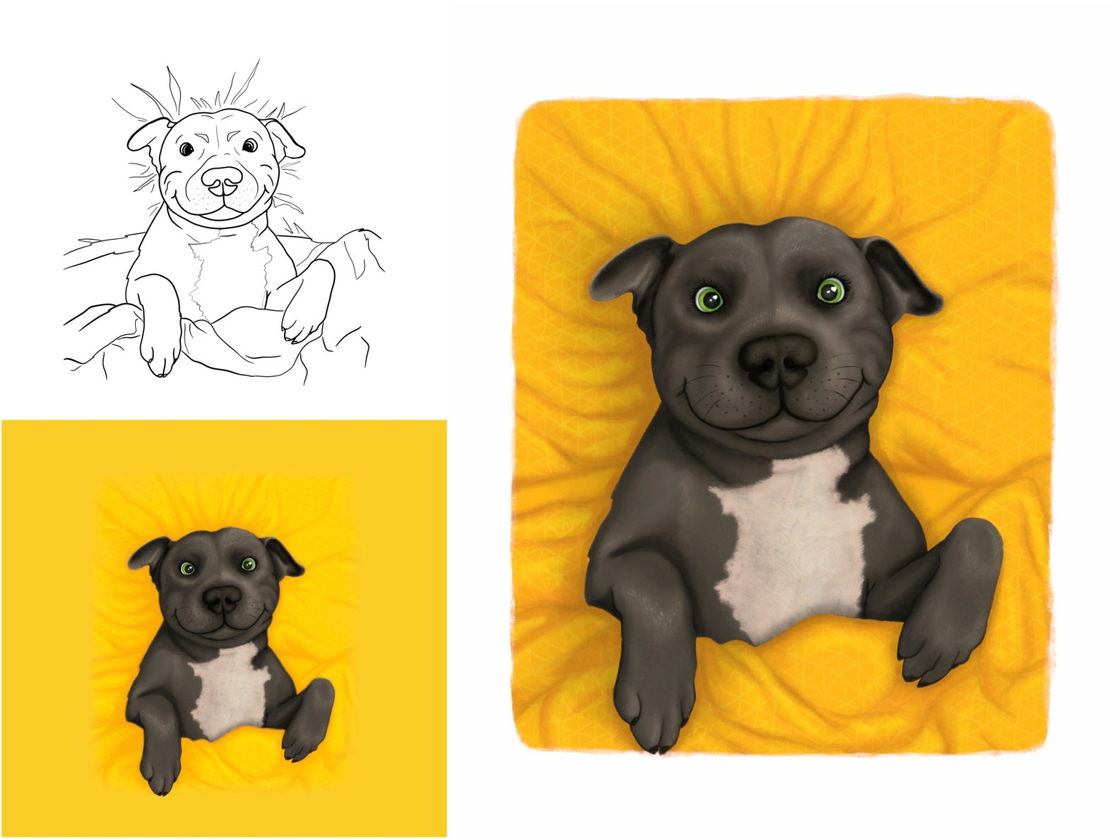 Pittie - illustrated pet portrait by Oana Stefana | illograph on Dribbble
