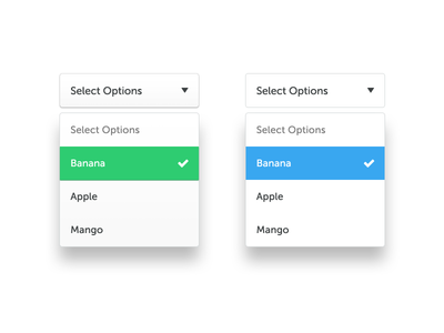 Dropdown select boxes by Ahsan Idrisi - Dribbble