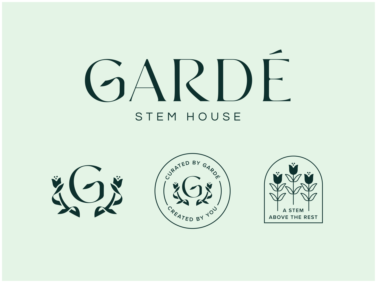 Local Stem House by Maureen Horan for Hype Group on Dribbble