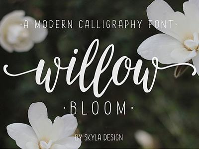 Willow Bloom, a modern calligraphy font by Angele Kamp on Dribbble