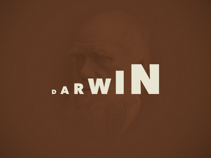 Darwin by Emrah Kara on Dribbble