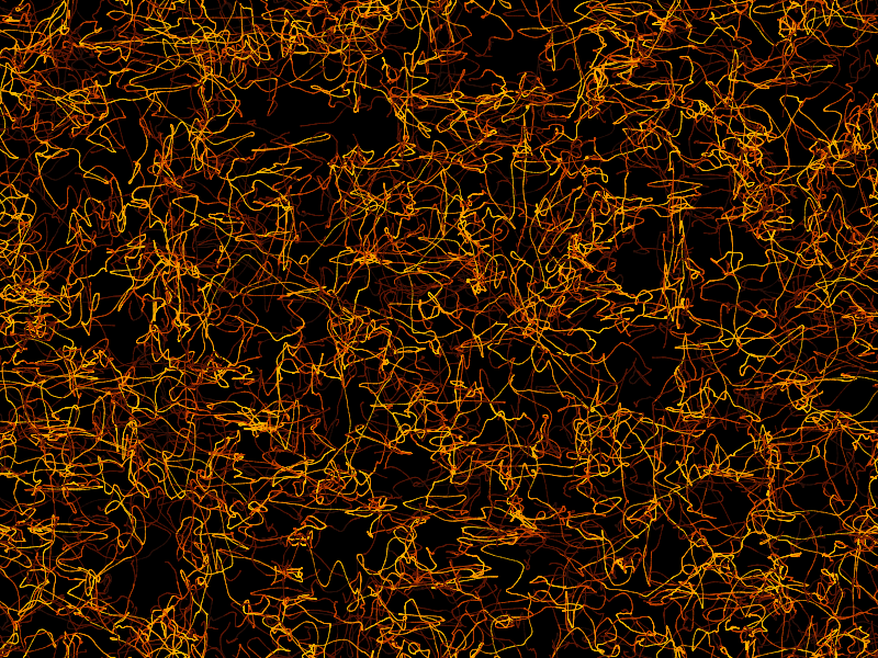 Random Walkers By Thijs Bernolet On Dribbble